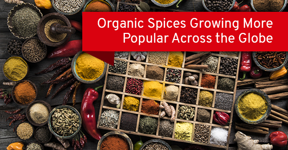 Organic Spices Growing More Popular Across the Globe | Hela Spice